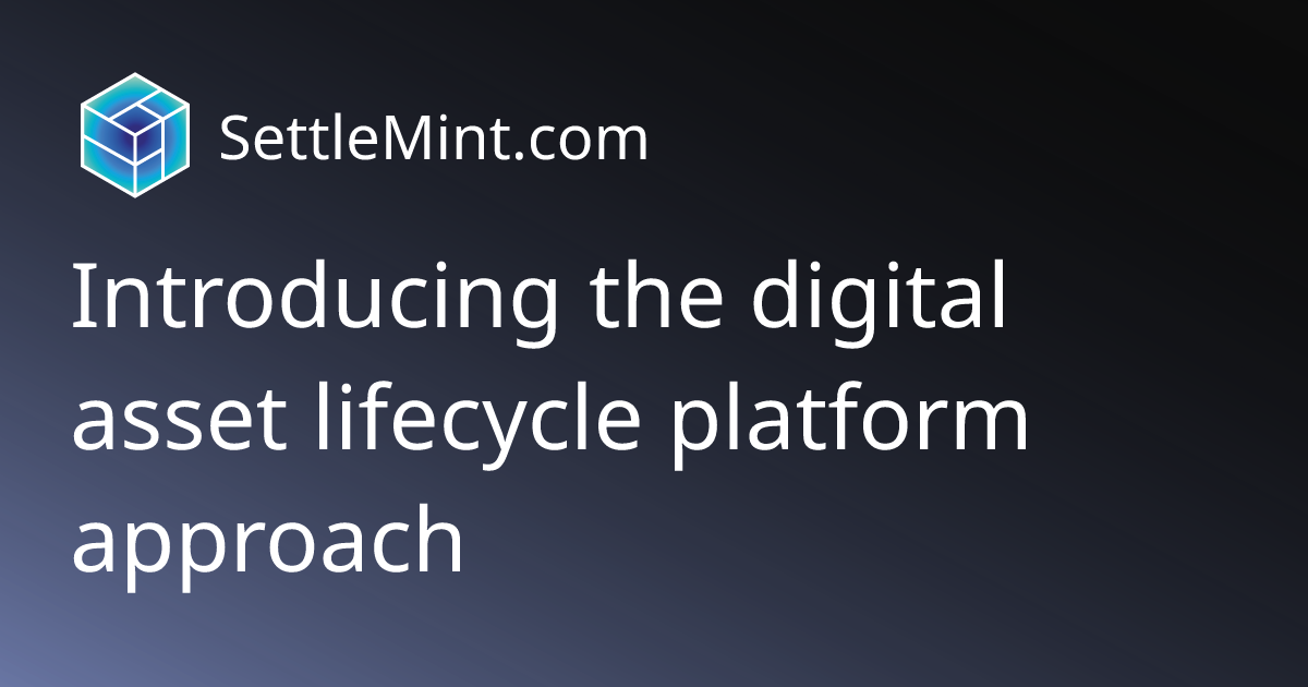 Introducing the digital asset lifecycle platform approach