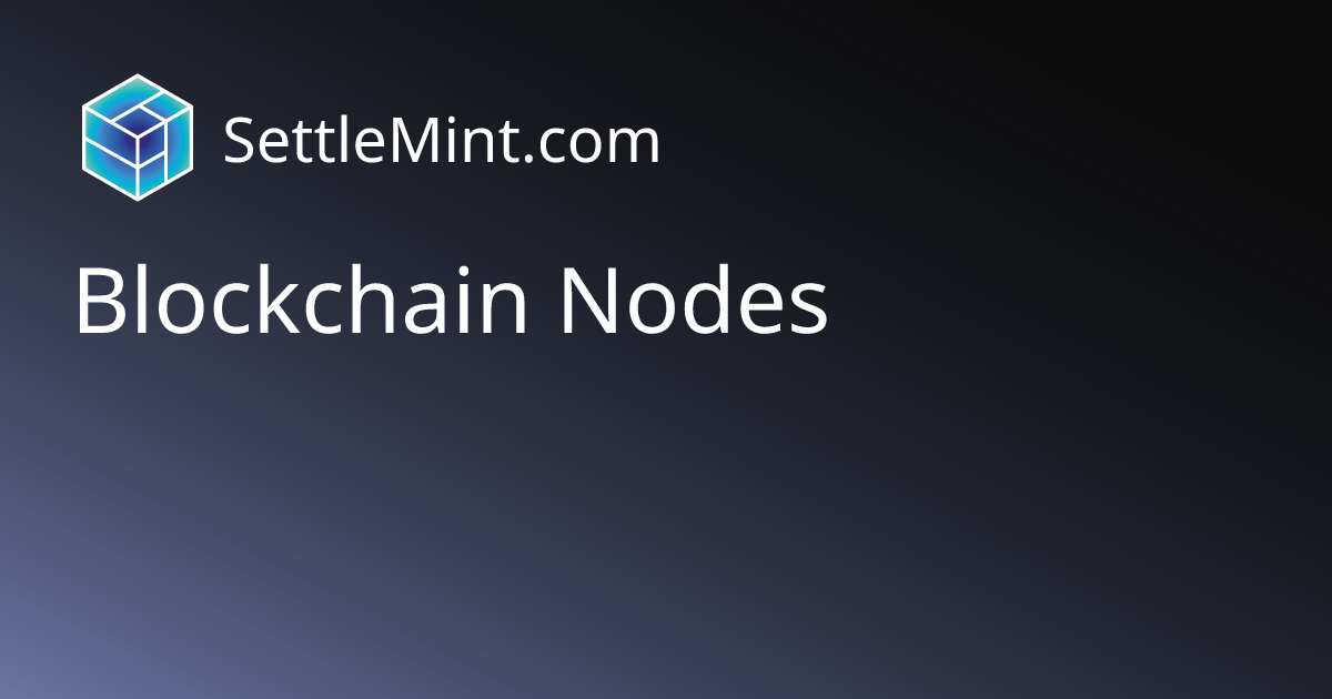 Blockchain Nodes
